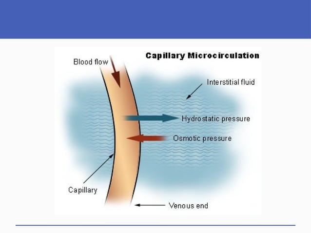 Body fluid- Intracellular, Extracellular and Specilized fluids.pptx