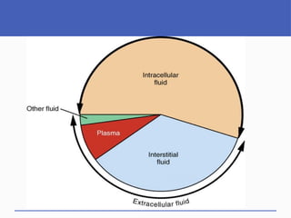Body fluid- Intracellular, Extracellular and Specilized fluids.pptx