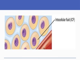 Body fluid- Intracellular, Extracellular and Specilized fluids.pptx