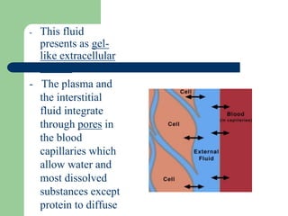 body_fluid_1.ppt