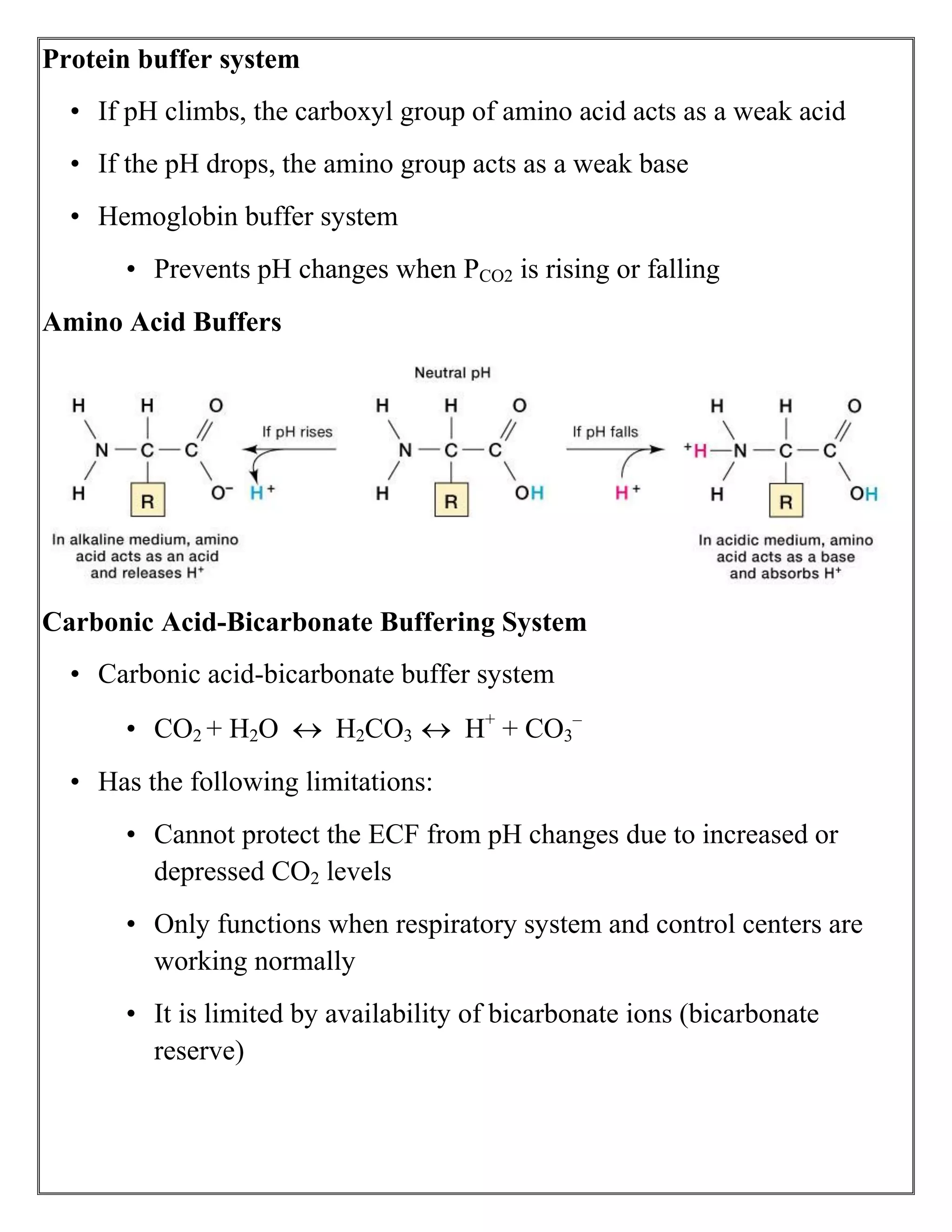 Acid-base Balance | PDF