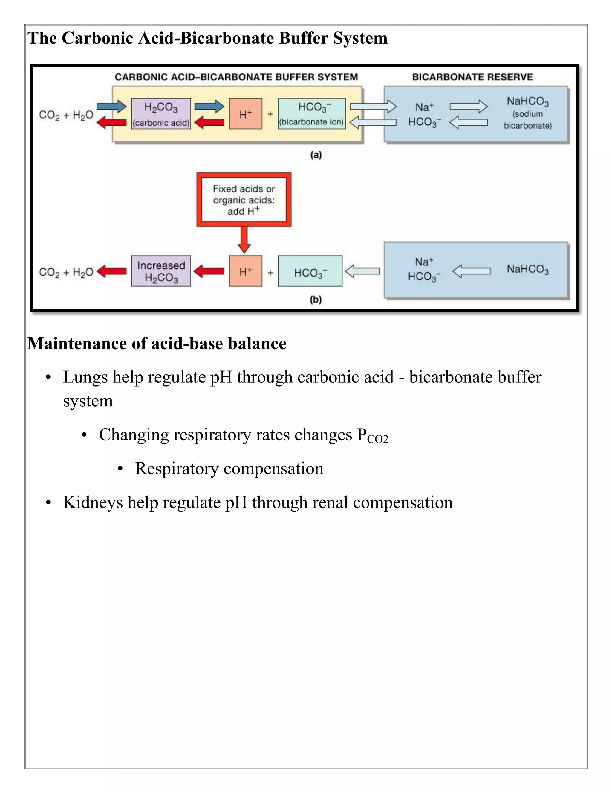 Acid-base Balance | PDF