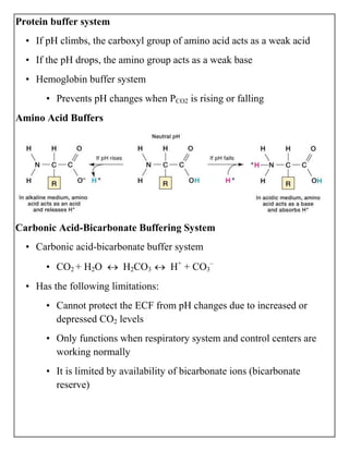 Acid-base Balance | PDF