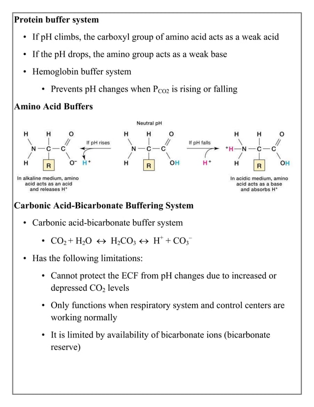 Acid-base Balance | PDF