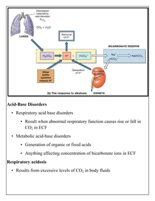 Acid-base Balance | PDF