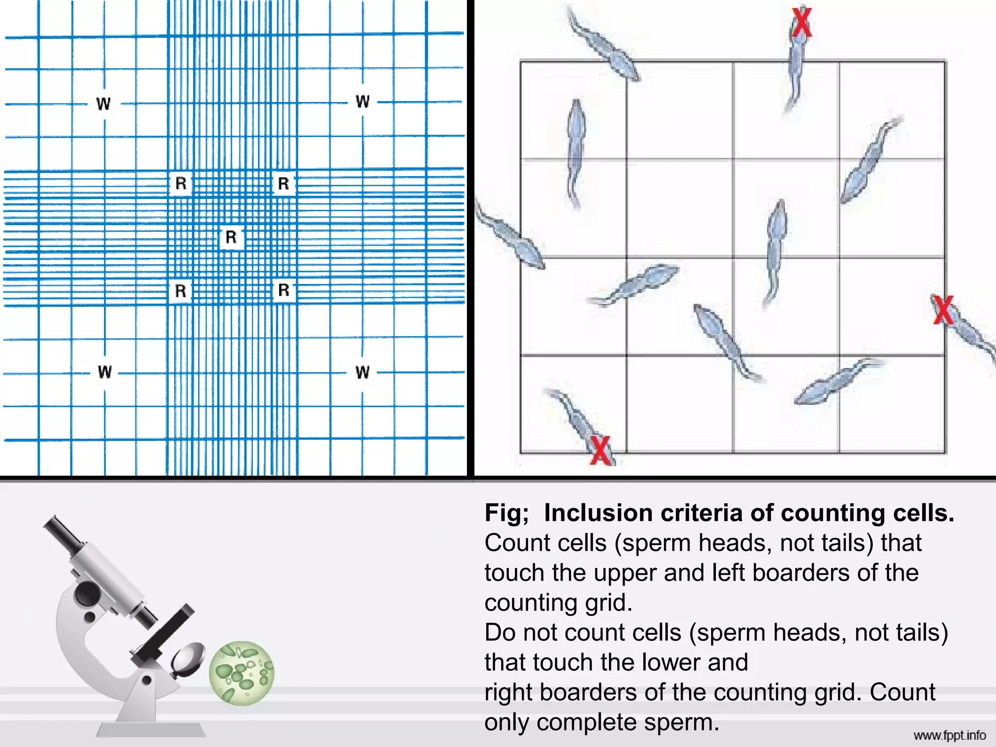 Body fluid analysis | PPT