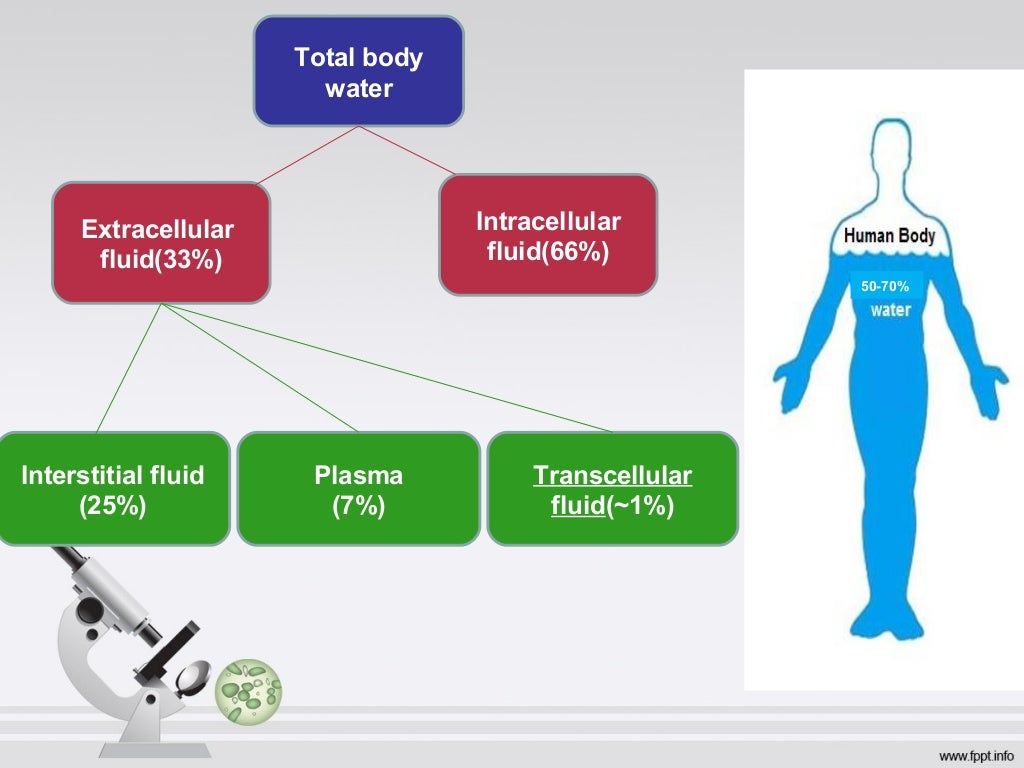 Body Fluid Analysis