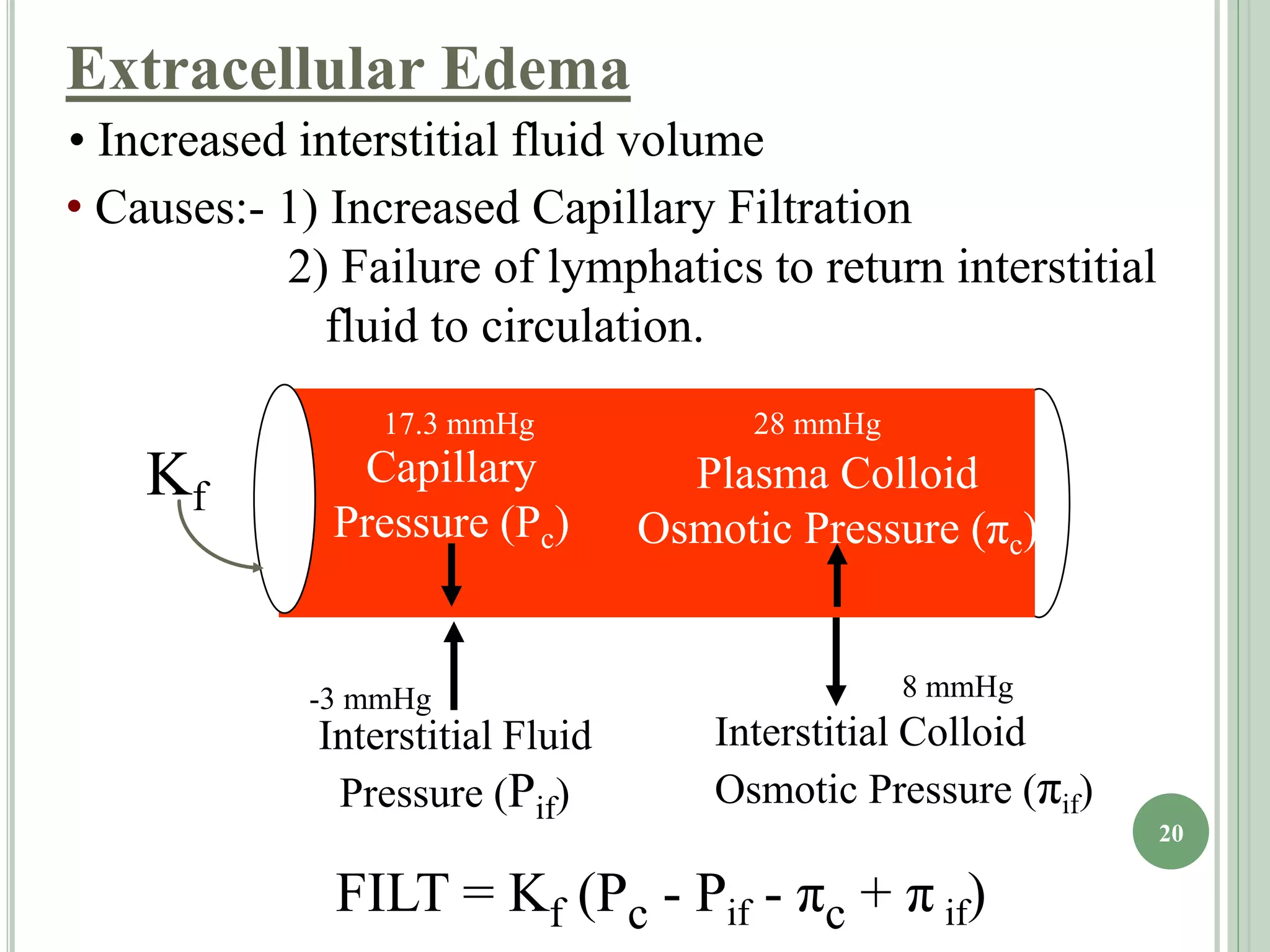 Body fluid, compartments and edema | PPTX