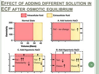 Body fluid, compartments and edema | PPTX