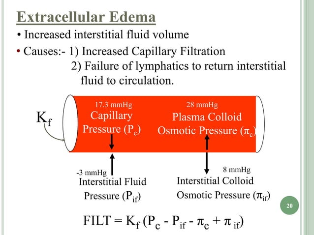 Body fluid, compartments and edema | PPT
