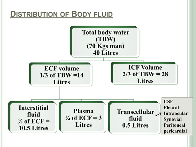 Body fluid, compartments and edema | PPT