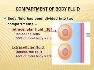 Body fluid and its compartments | PPT