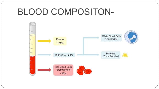 BODY FLUID(BLOOD).pptx