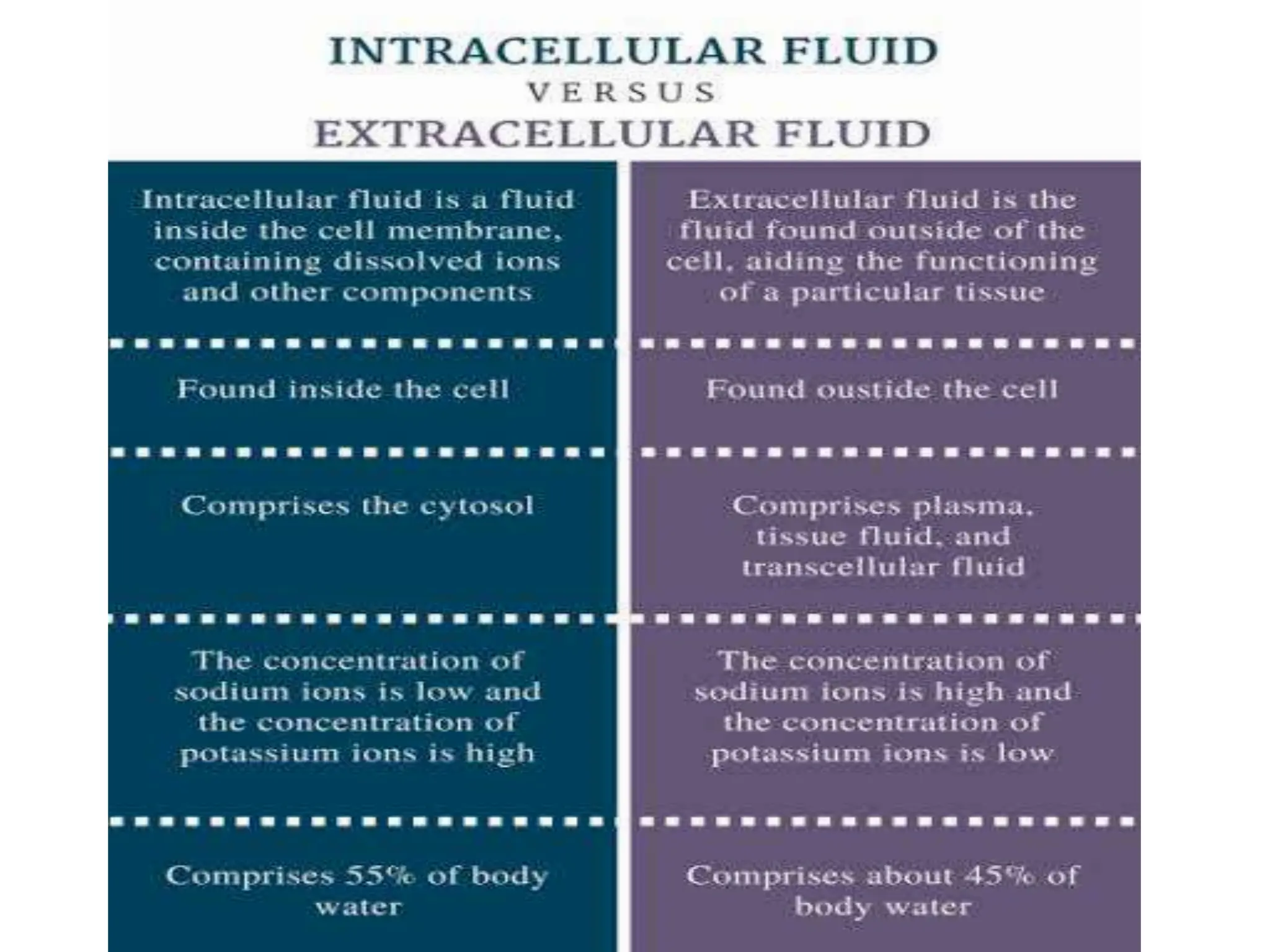 Body fluid compartments mbbs 1st year... | PPTX