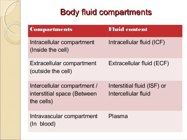 Intravascular and interstitial body fluid compartments - milomis