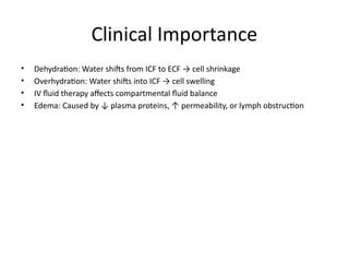 Body_Fluid_Compartments_Presentation.pptx