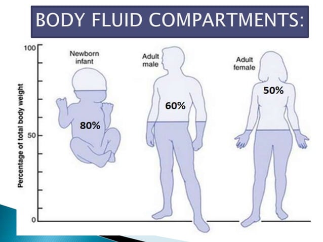 Body fluid distribution on normal aduly.pptx