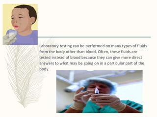 body fluid examination.pptx