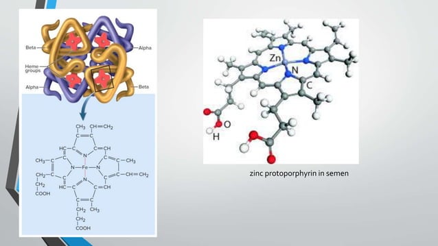 Body fluid identification using X ray fluorescenece and NMR.pptx