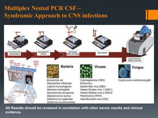 Body fluid interpretation | PPT