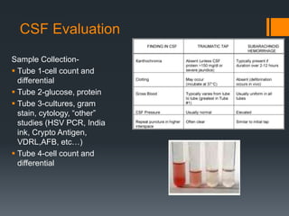 Body fluid interpretation | PPT