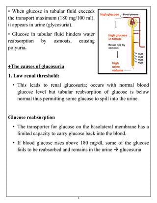 Urine Analysis and Kidney function tests | PDF