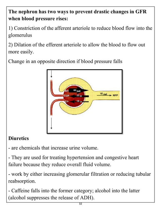 Urine Analysis and Kidney function tests | PDF