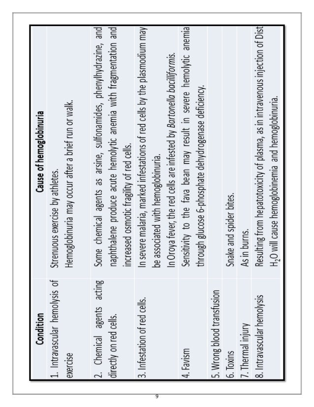 Urine Analysis And Kidney Function Tests urine-analysis-and-kidney-function-tests