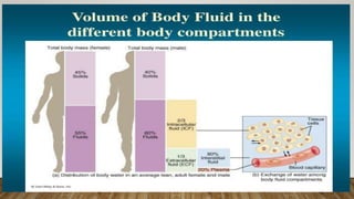 Body fluid PY 1.6.pptx