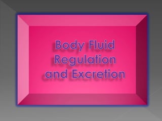 BODY FLUID REGULATION AND EXCRETION | PPTX