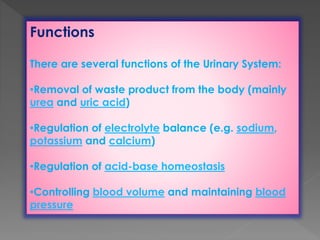 BODY FLUID REGULATION AND EXCRETION | PPTX