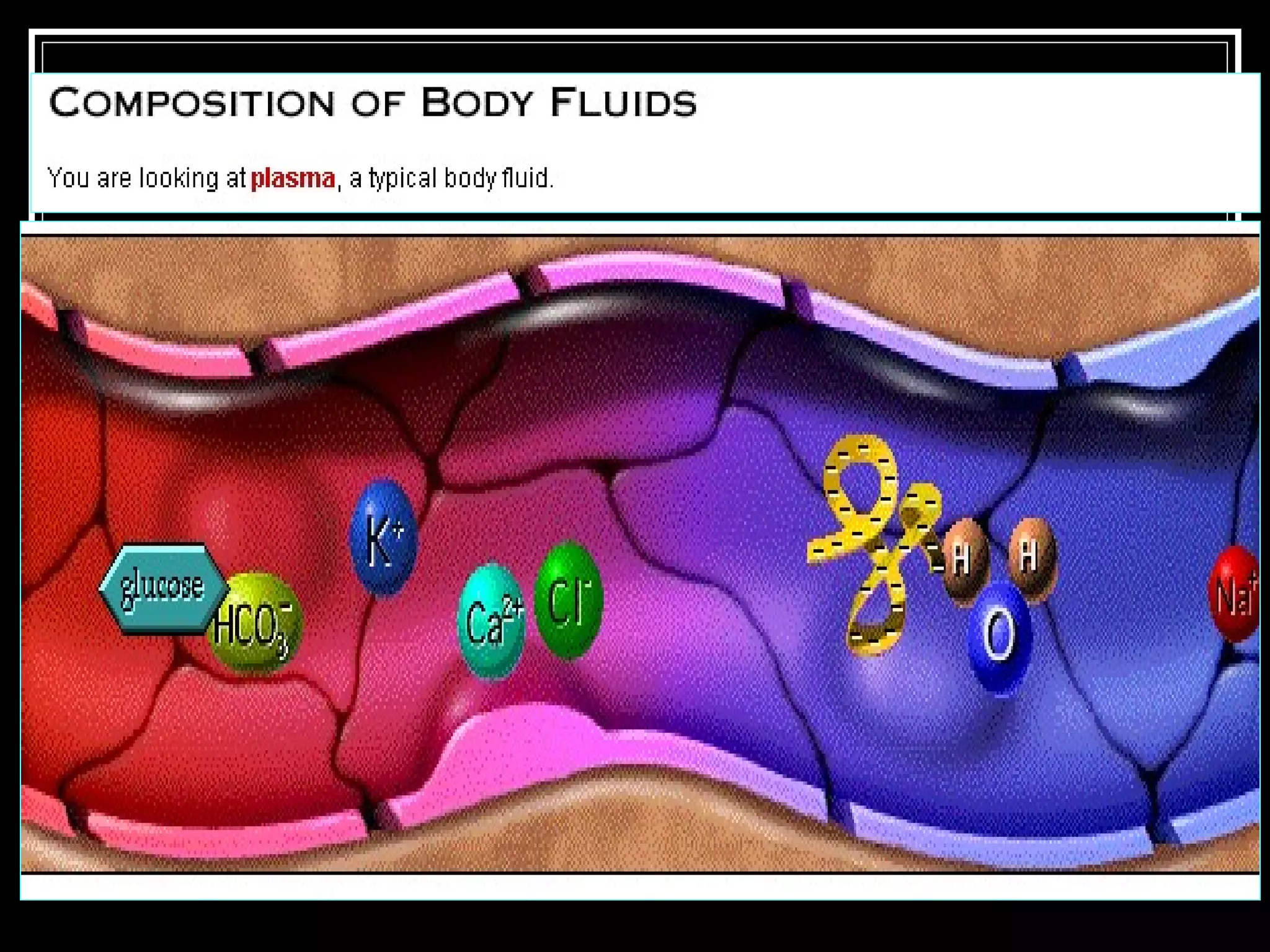 Body fluids | PPT