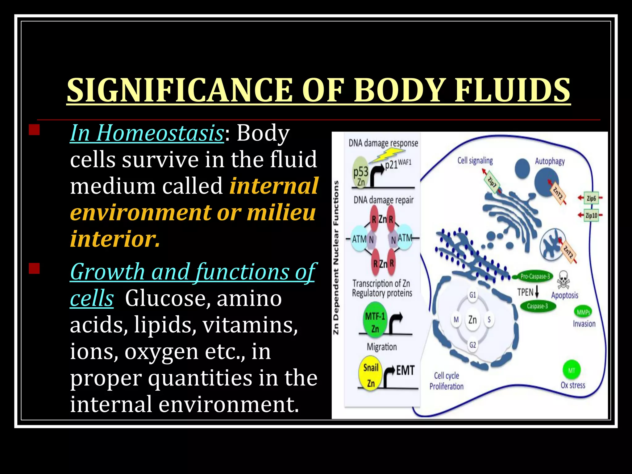 Body fluids | PPT