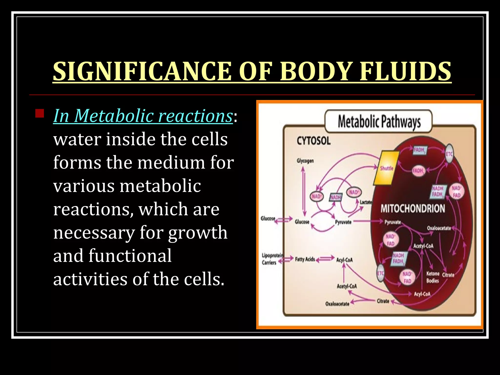 Body fluids | PPT