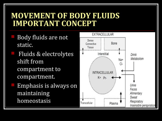 Body fluids | PPT
