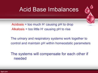 Body fluids | PPT