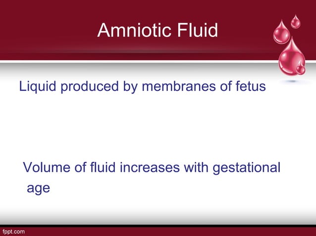 Body fluids | PPT