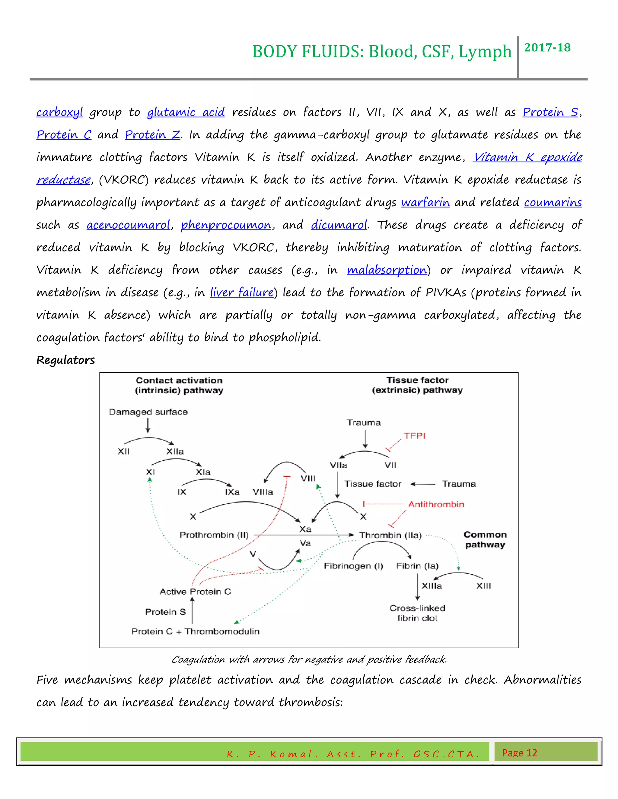 Body fluids- CSF, Lymph and Blood | PDF