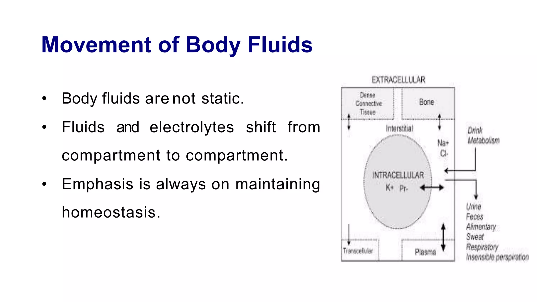 Body Fluids | PPTX
