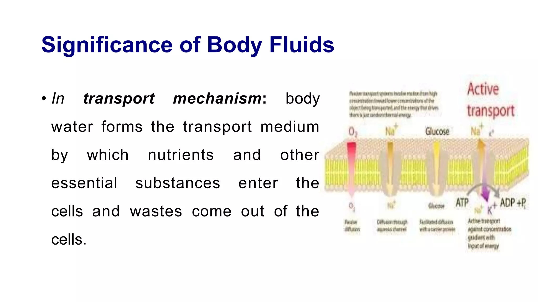 Body Fluids | PPTX