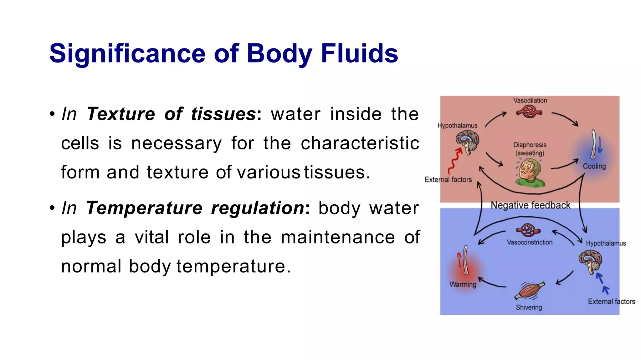 Body Fluids | PPTX