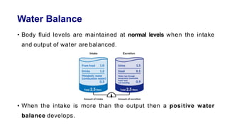 Body Fluids | PPTX