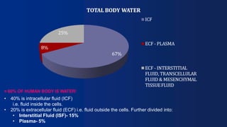 Body Fluids | PPTX