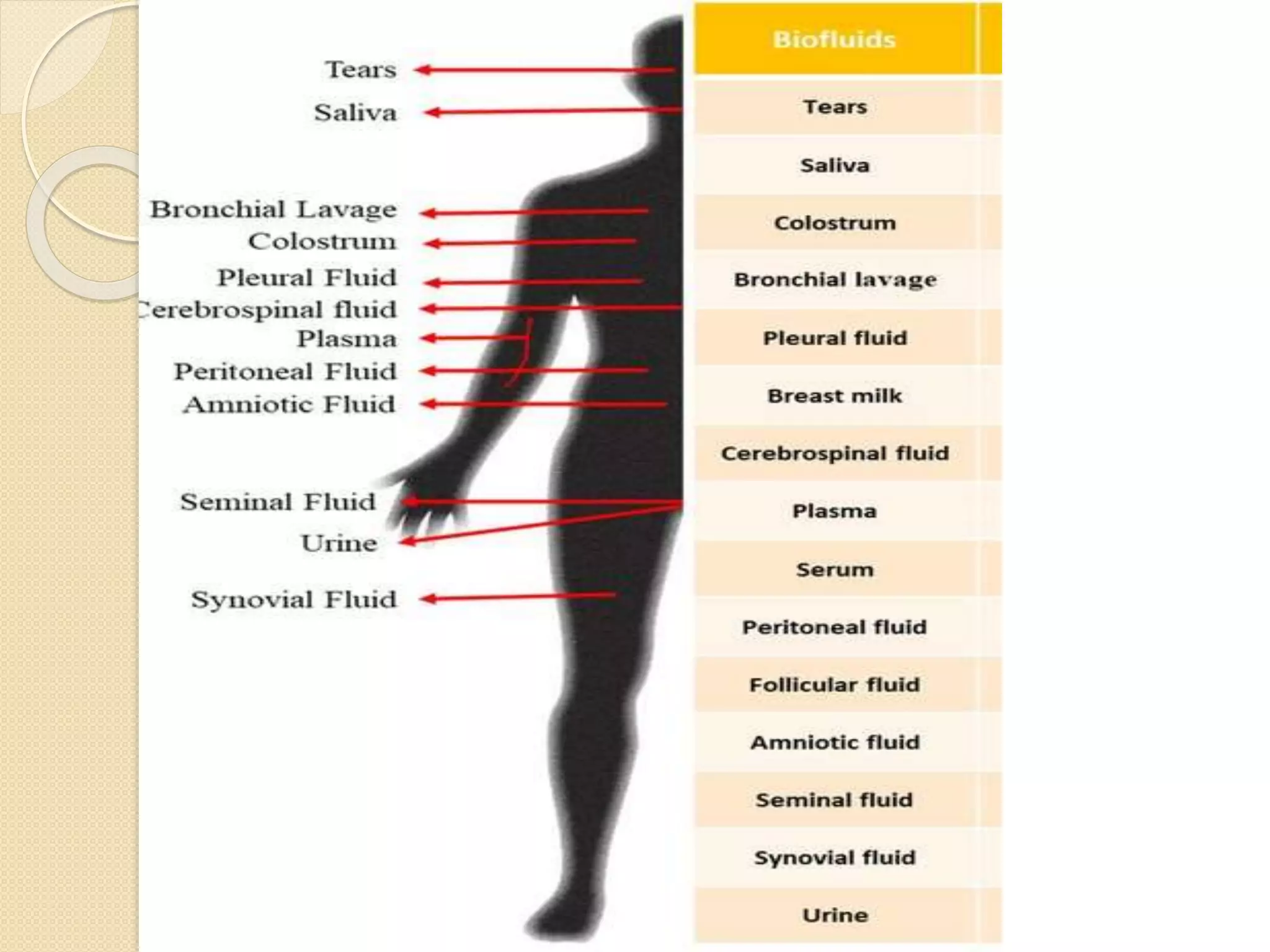 BODY FLUIDS.pptx