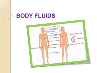 BODY FLUIDS.pptx