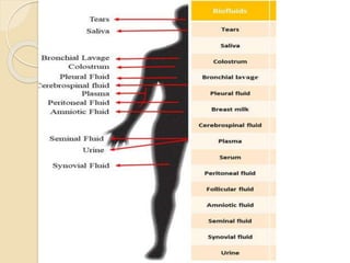 BODY FLUIDS.pptx