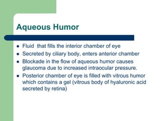 Body fluids +++.ppt