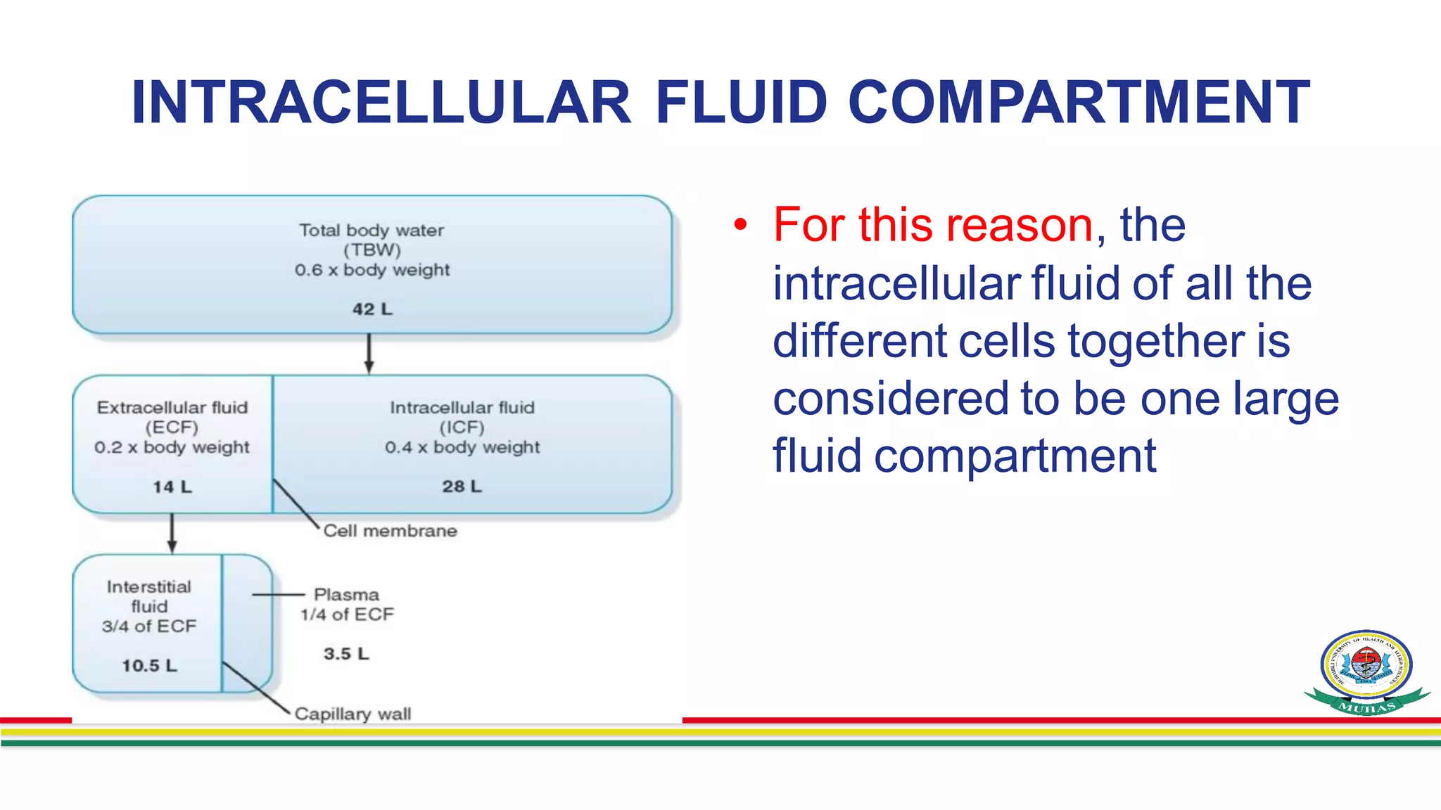 Body fluids.pdf