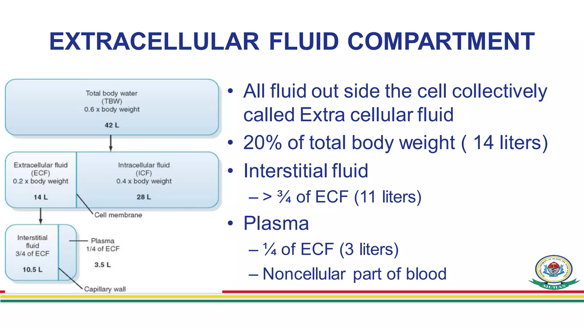 Body fluids.pdf
