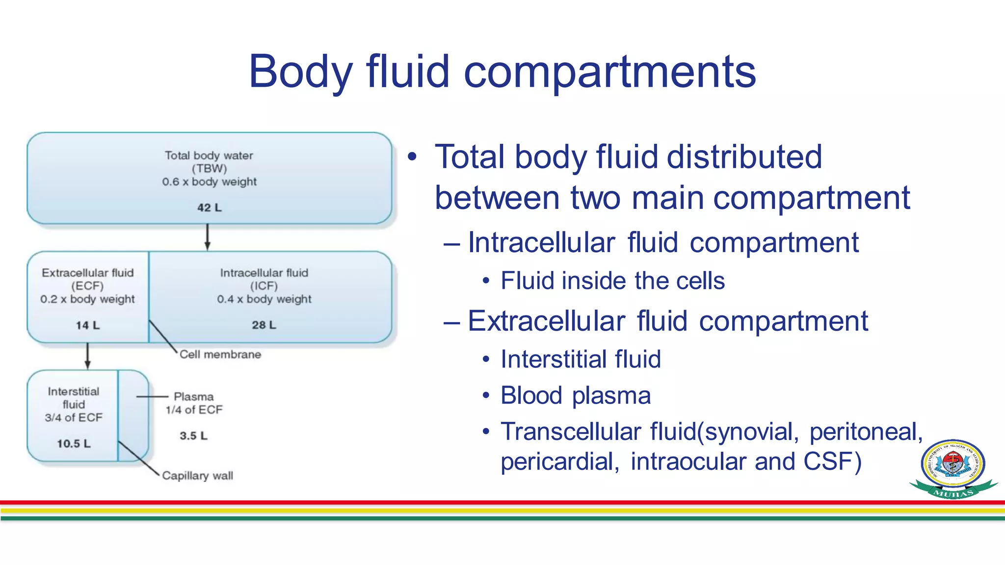 Body fluids.pdf